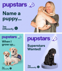 Pupstars | Motiv Brand Design